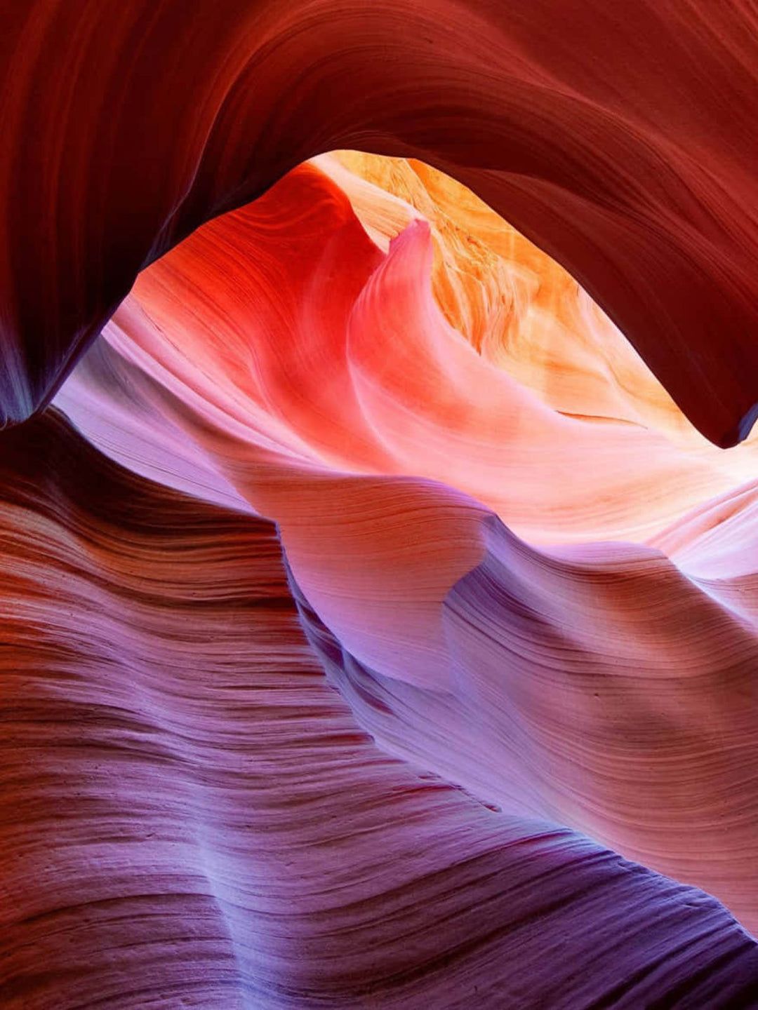 Contact - TECHNICAL-SUPPORT – Aura